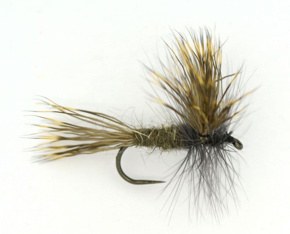 BL Grey Wulff