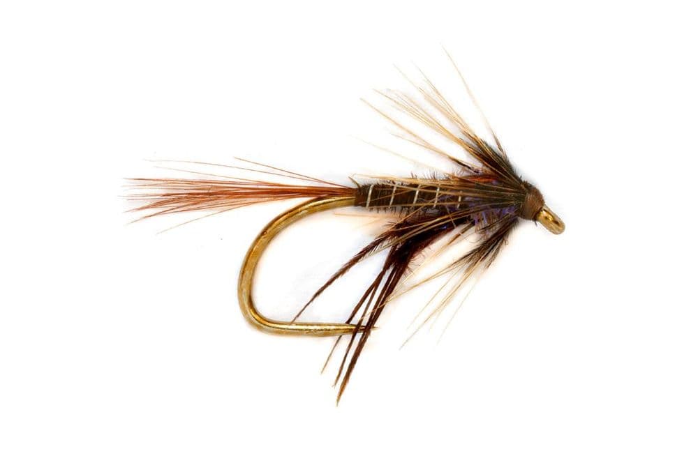BL Jenkins Gangly Cruncher Natural