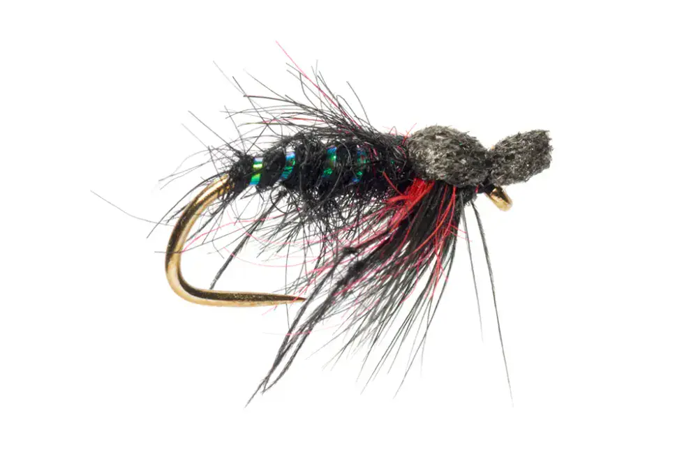 BL Jenkins Popper Hopper Bibio