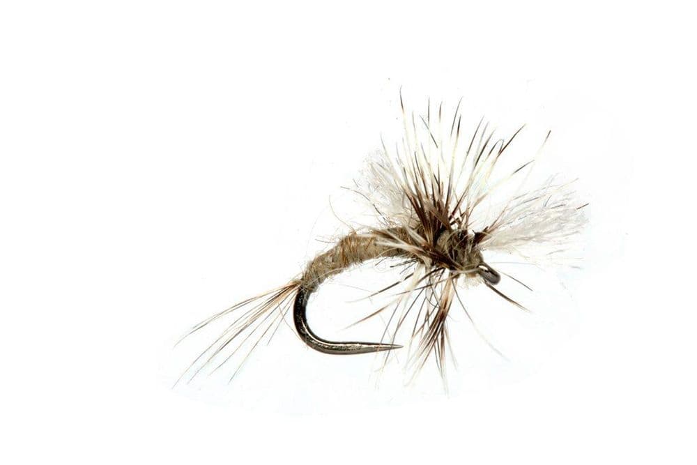 BL Lewis s Cripple Midge