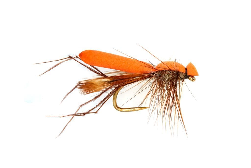 BL Real Daddy Orange