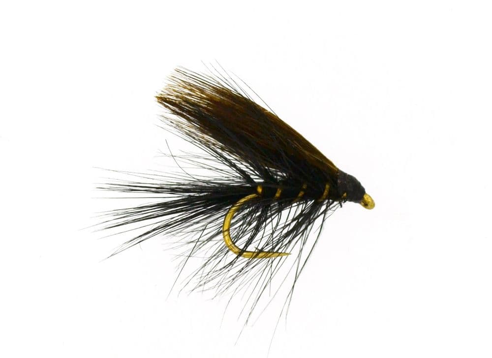 Black Dabbler OR