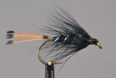 Black Pennell Palmered