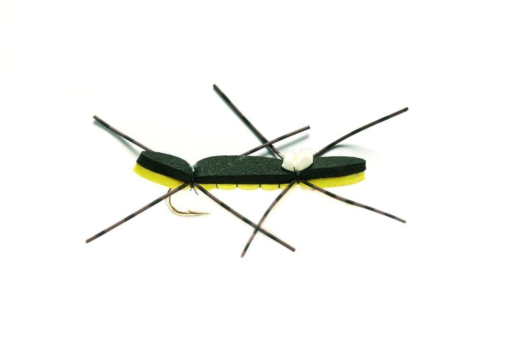 Chernobyl Ant Black Yellow