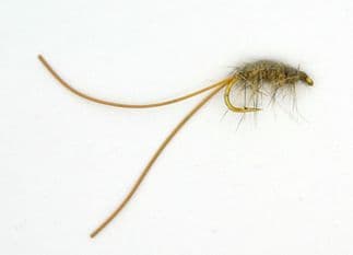 Corophium Volutator