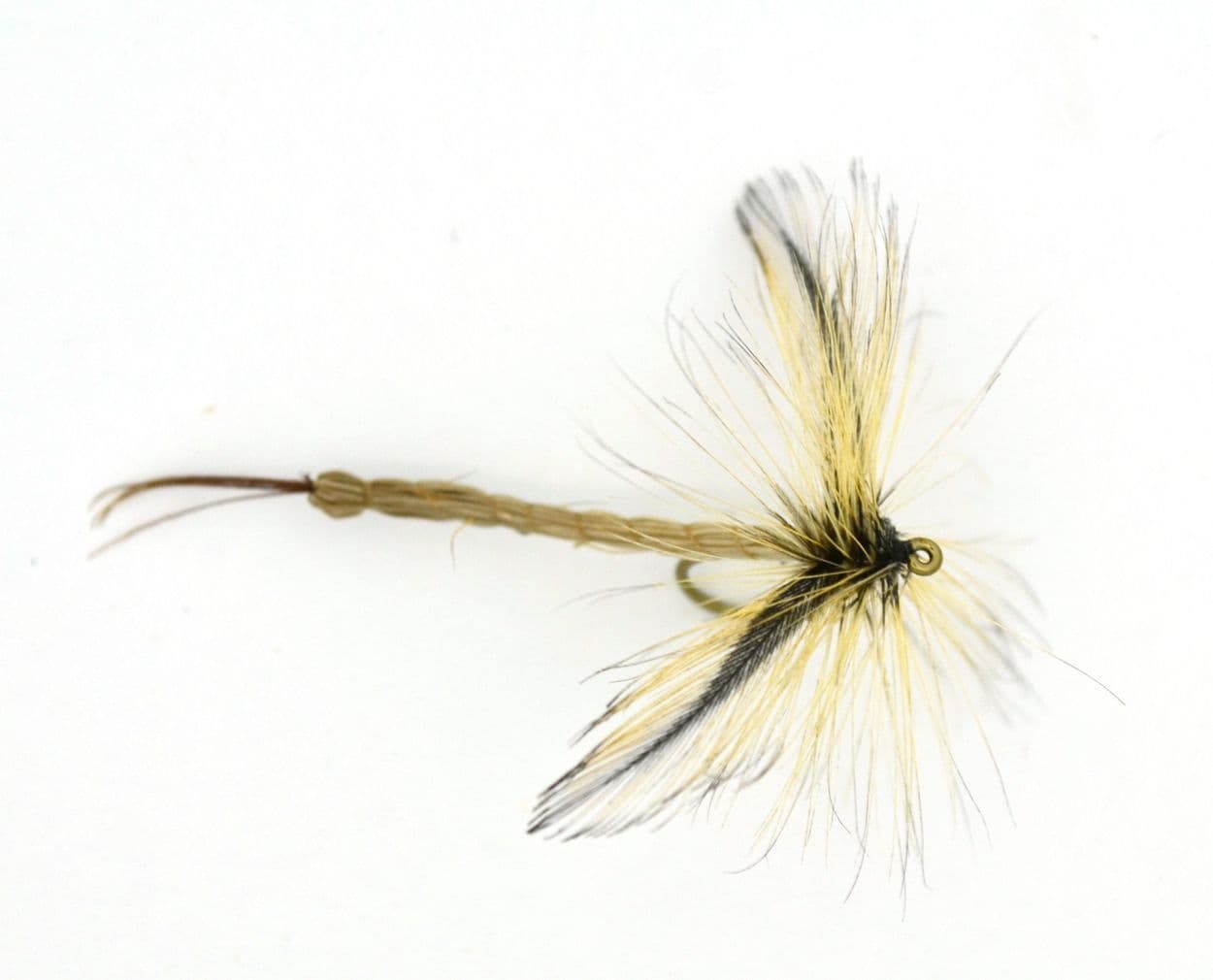 Detached Body Mayfly