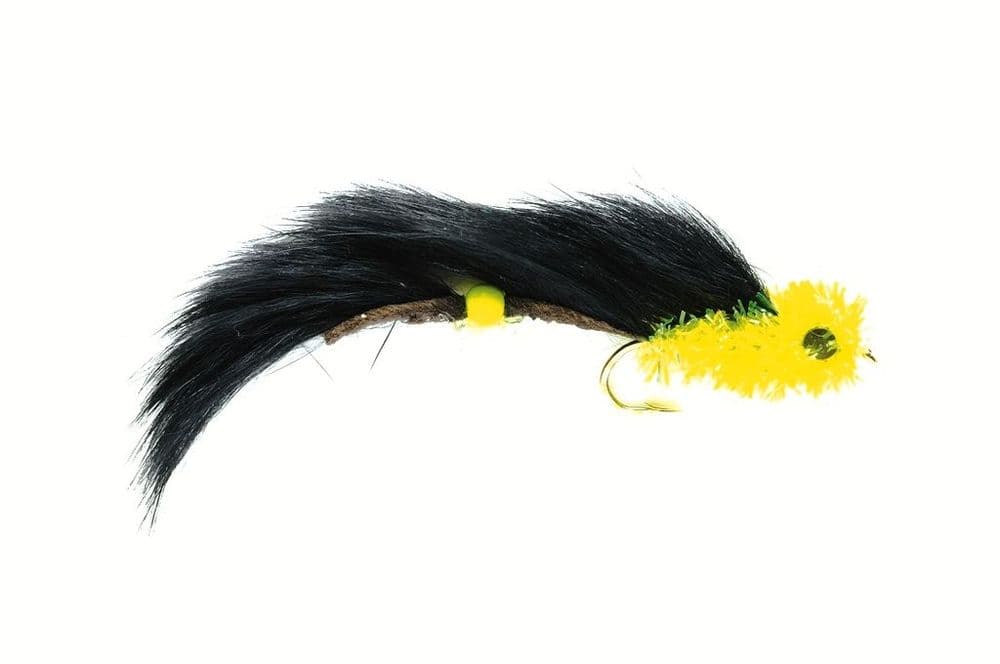 Dumbell Eye Hot Tail Black