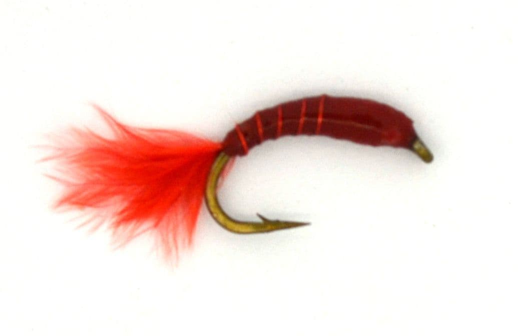 Epoxy Buzzer - Bloodworm