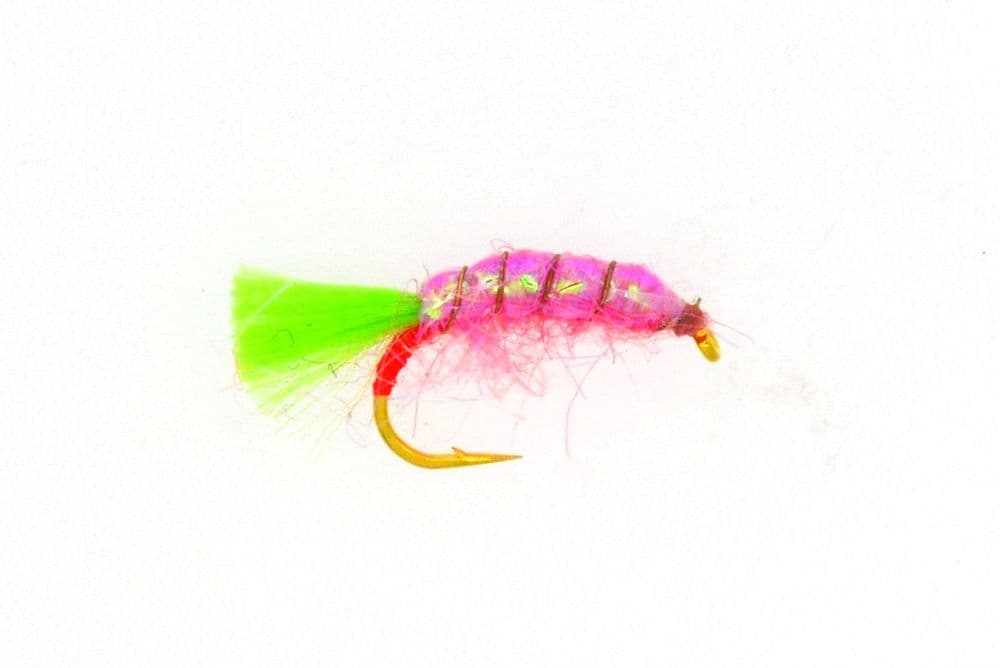 Flo Pink Shrimp