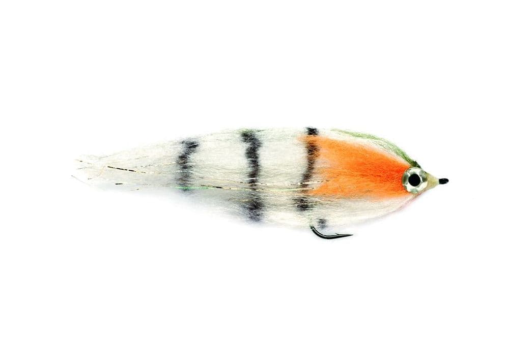 Fry Perch Fry FM