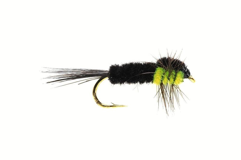 Green Fluo Montana