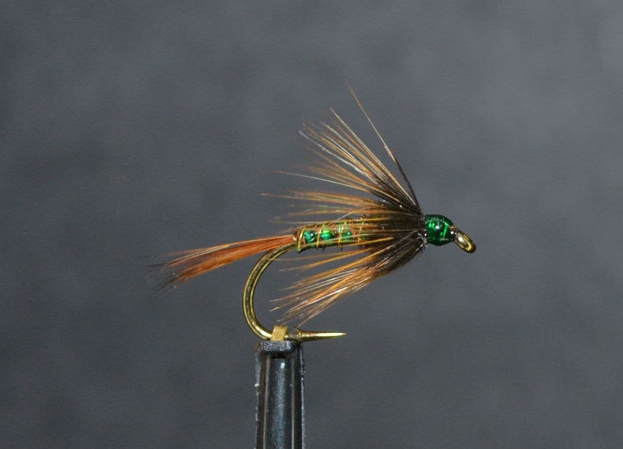 Green Nemo