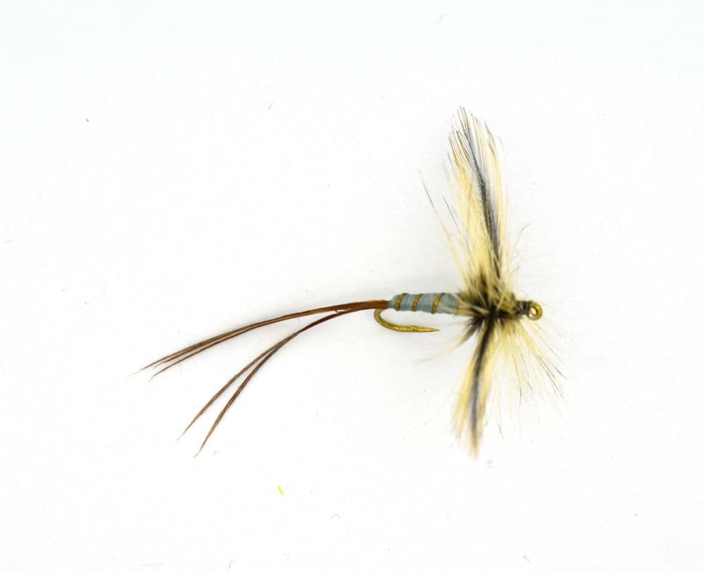 Grey Spent Mayfly