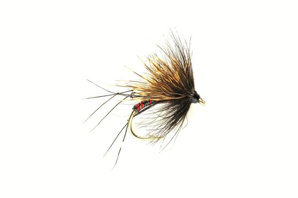 Half Hog Black Red