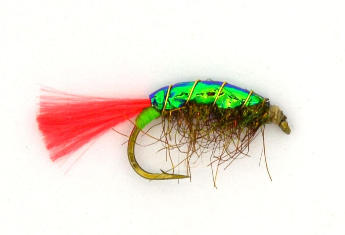 Hot Tag Spectra Shrimp