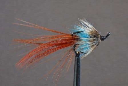Irish Blue Hackle Shrimp