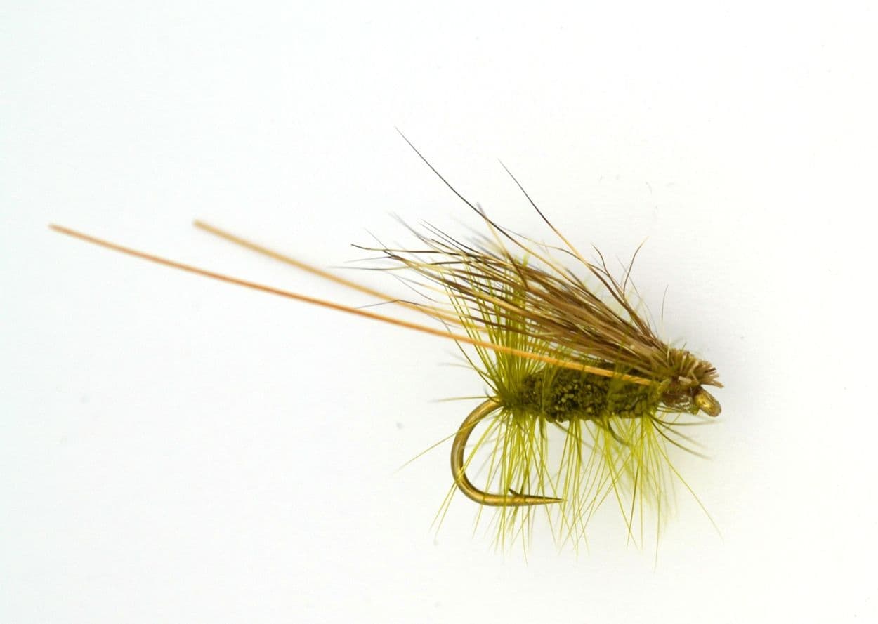Irresistible Sedge