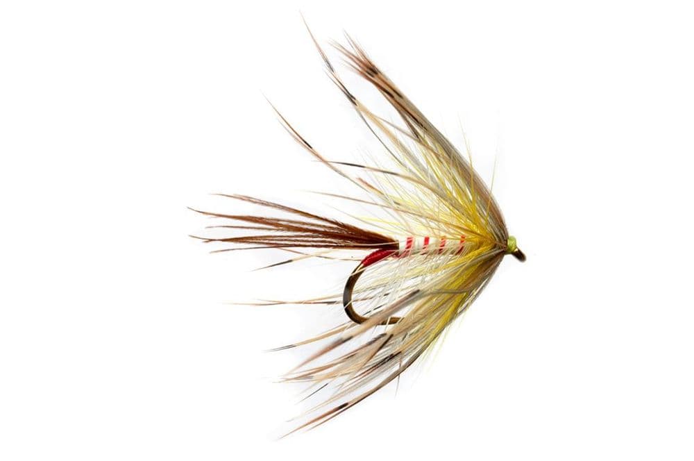 Jackie s Red Rib Mayfly Melvin
