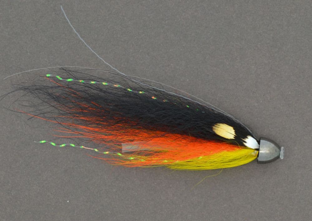 JC Willie Dog Conehead