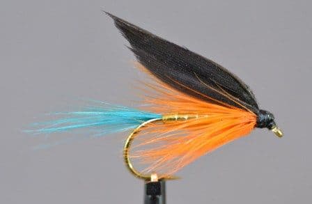 Kingfisher Butcher - OR