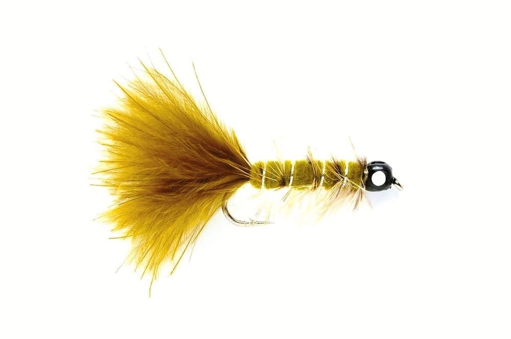 Nobbler Olive
