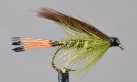 Olive Dabbler