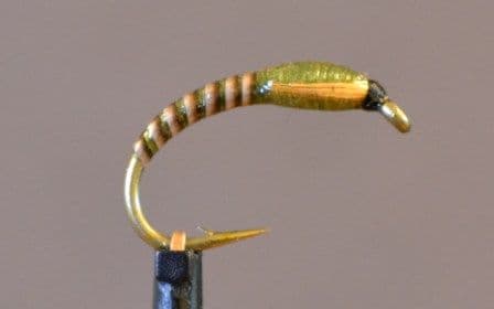 Olive Stripped Quill Buzzer - PR