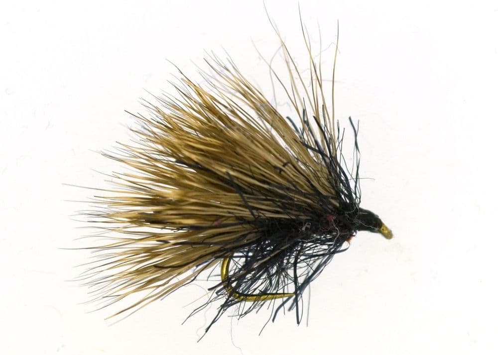 Sedgehog Straggle Fritz Black