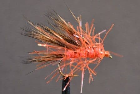 Sedgehog Straggle Fritz Orange