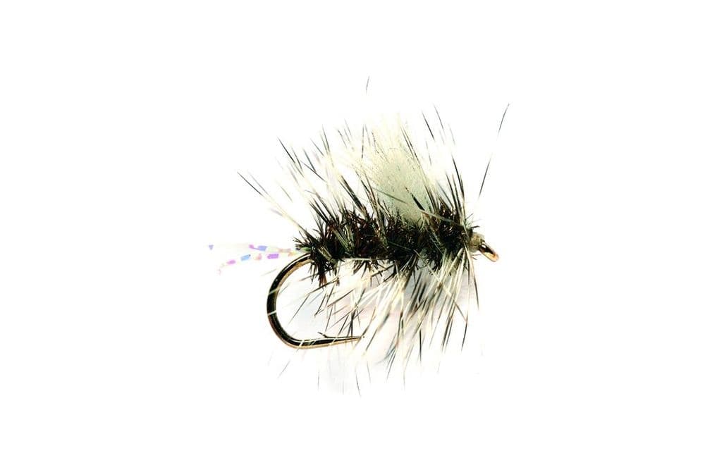 Sparkle Gnat