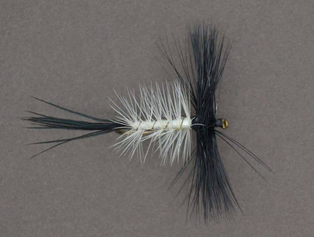 Spent Black Drake Mayfly