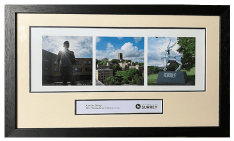 UNIS-Limited Edition Framed Artwork