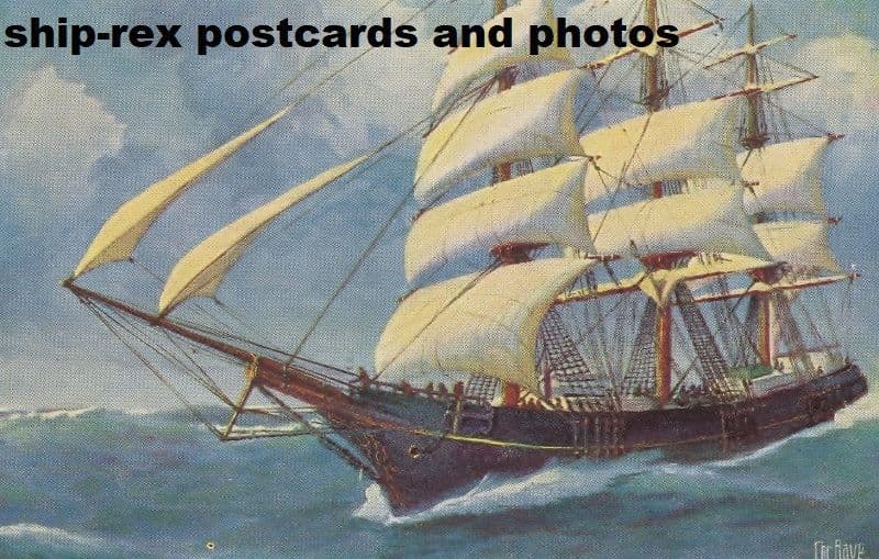 ANTILOPE by Christopher Rave