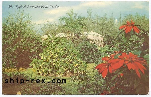 Bermuda