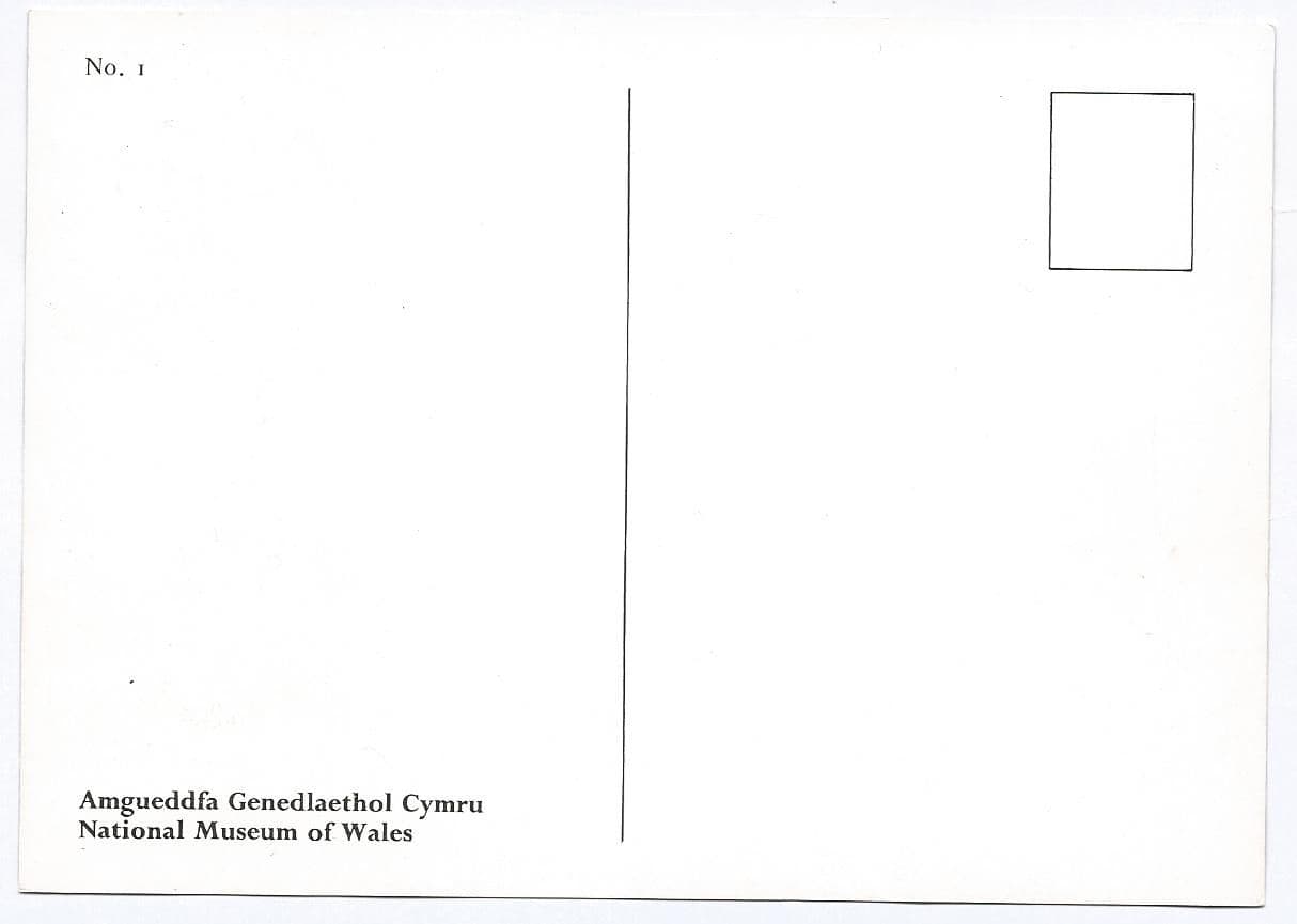 Cardiff National Museum Of Wales - postcard