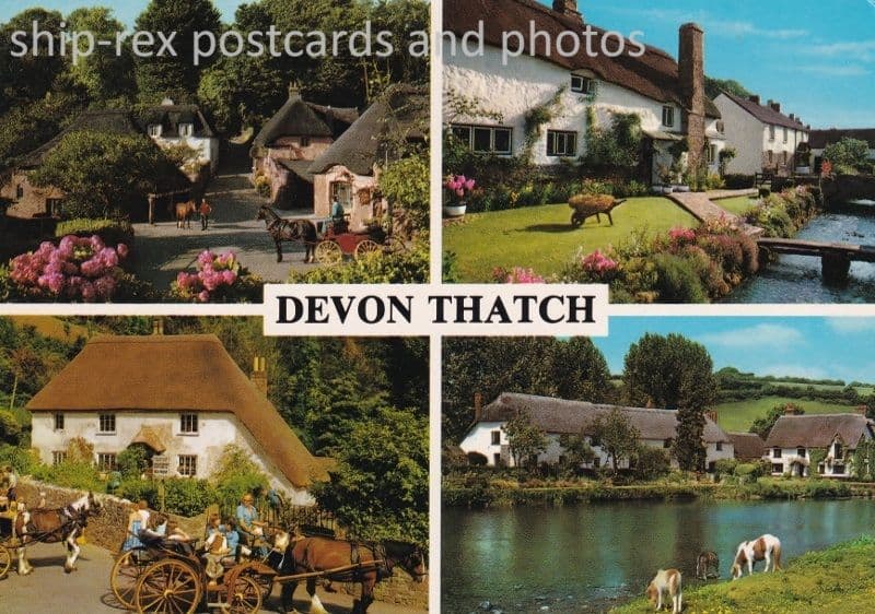 Devon thatch multi-view
