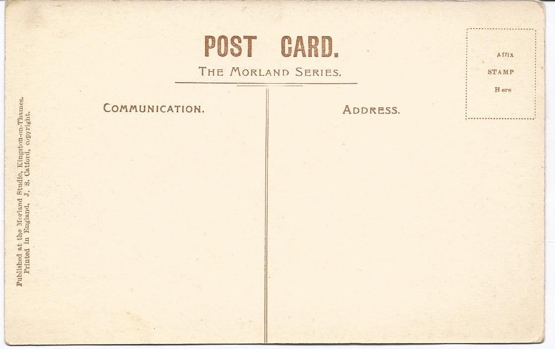 Hampton Court Palace The Great Vine