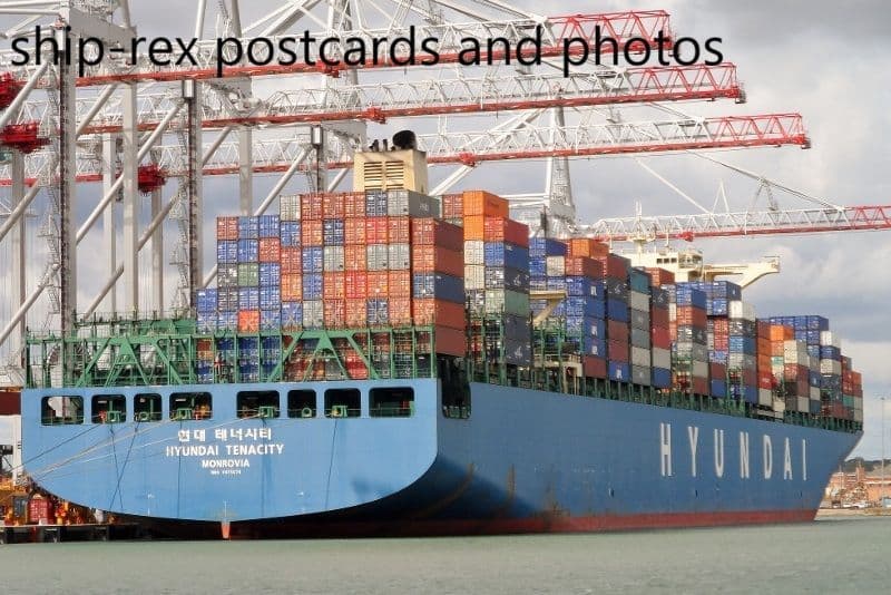 HYUNDAI TENACITY container ship