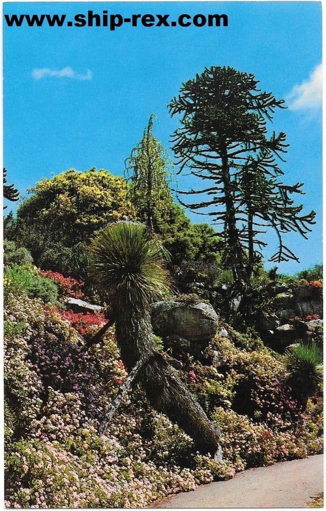 Tresco Gardens Scilly - postcard