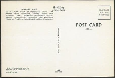 Vancouver Island marine life postcard
