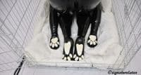 Latex Paws Full set of front and rear