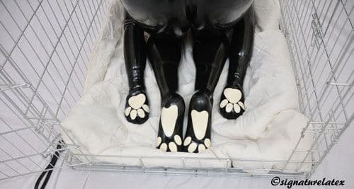Latex Paws Full set of front and rear