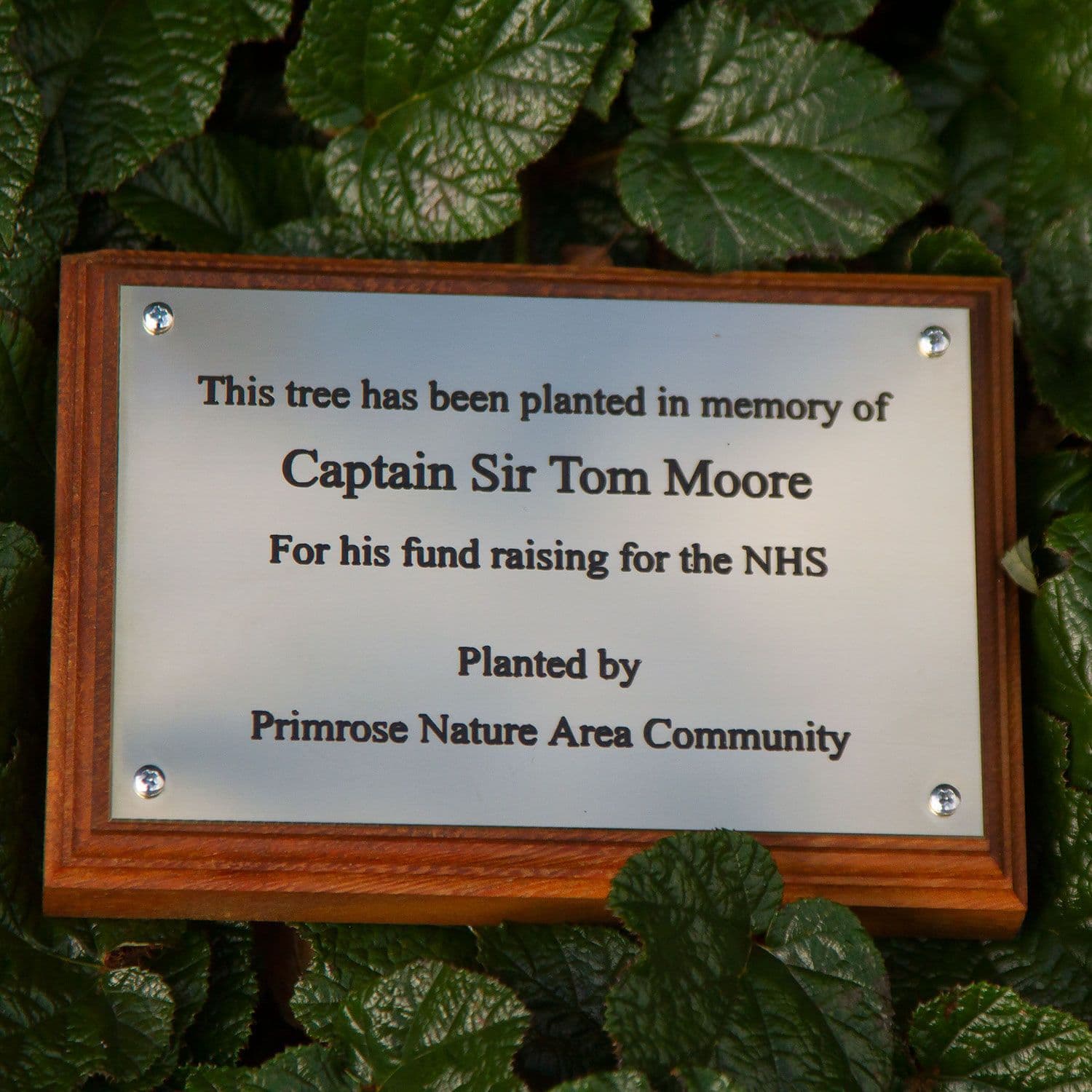 Memorial Plaque Quotes