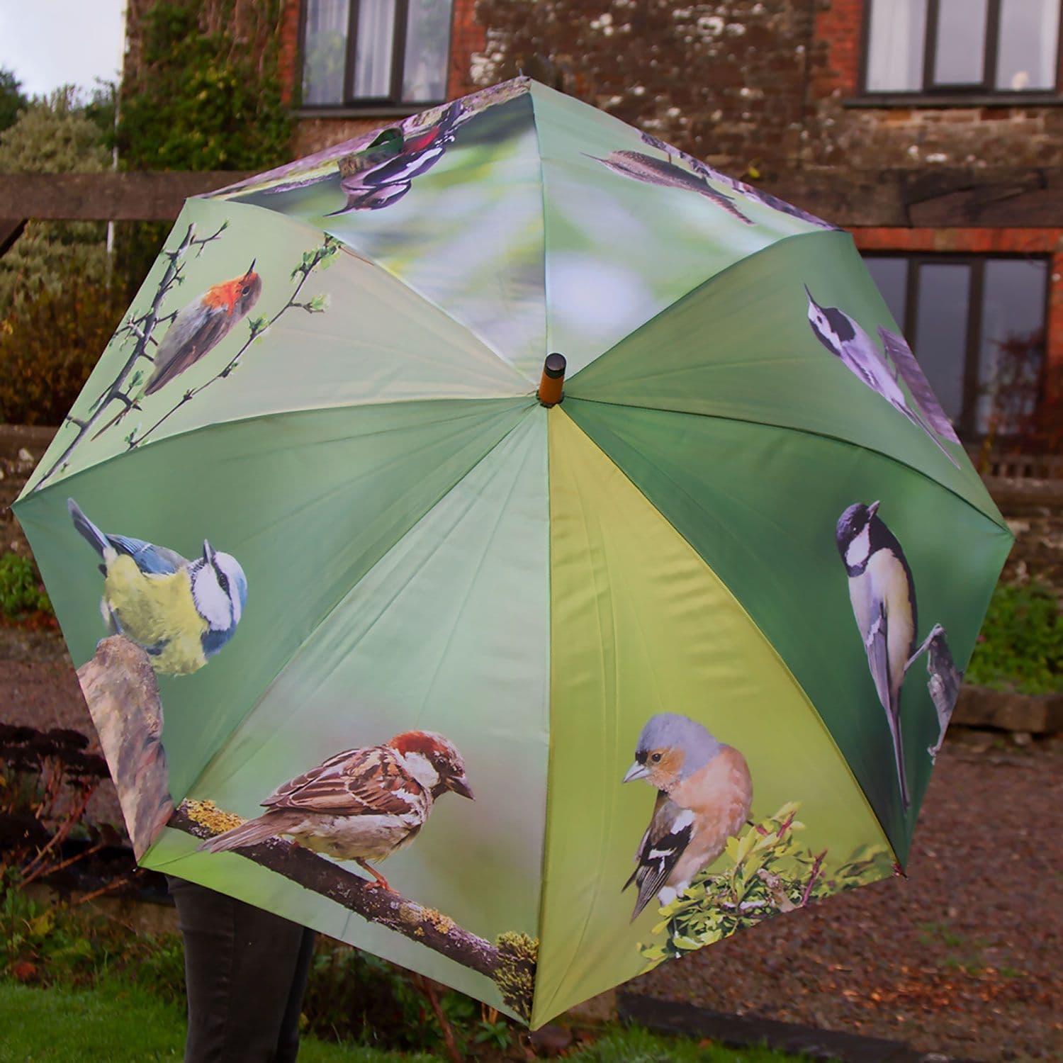 British Bird Umbrella | The Sign Maker Shop