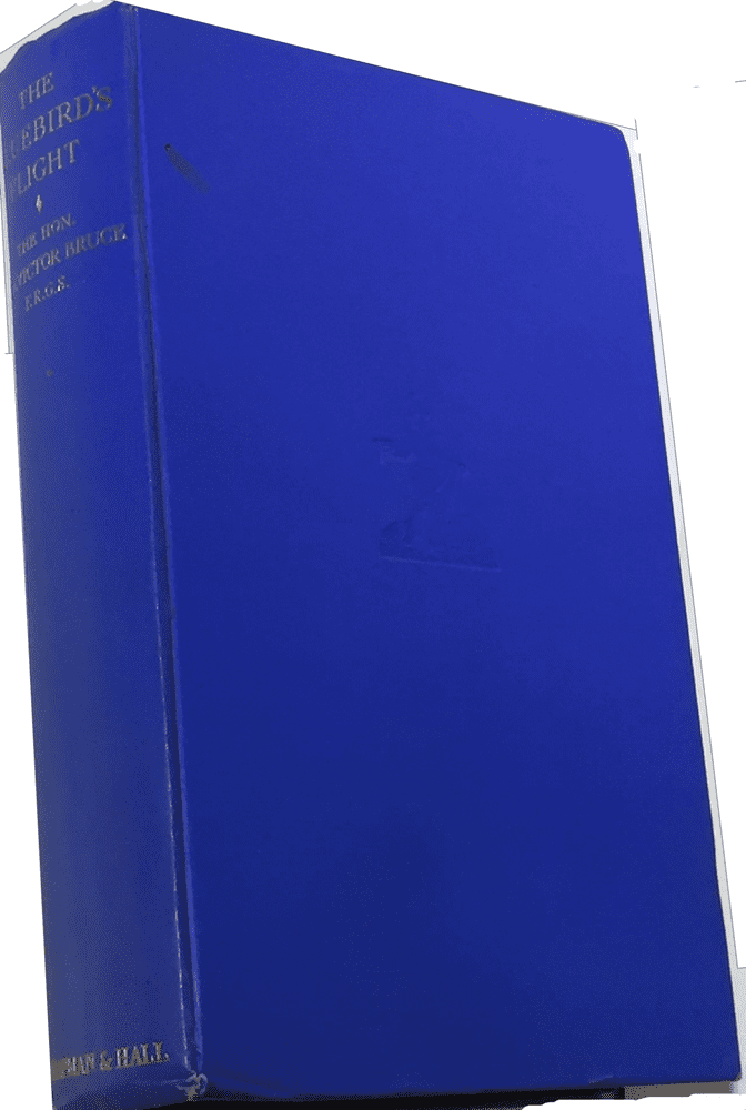 BLUEBIRD S FLIGHT THE hon Mrs Victor Bruce 1931