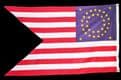 Union Cavalry Flag Guidon