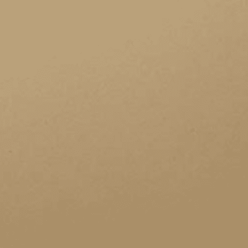 Axalta Anodic Collection Champagne Polyester Matt Powder Coating 20kg Box