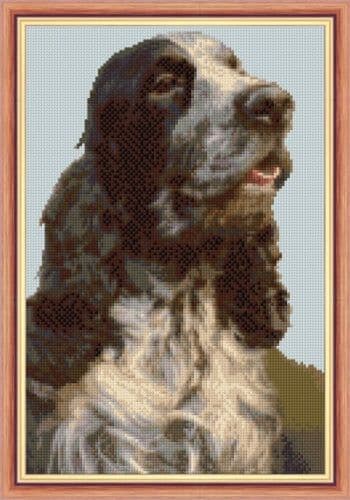 Cocker Spaniel Dog Portrait - 14 Count Cross Stitch - 8" x 12"