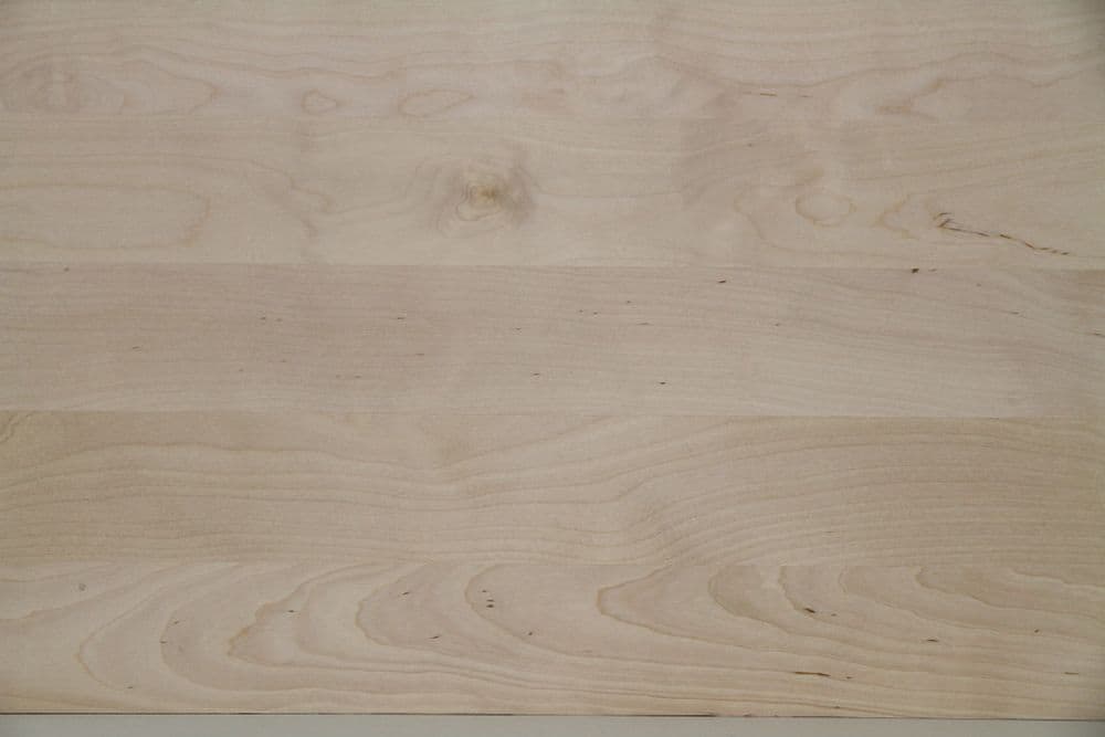 Birch Panel 1500x1210x19mm