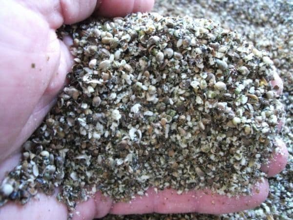 Crushed Hemp Seed Fishing Groundbait - Soar Tackle